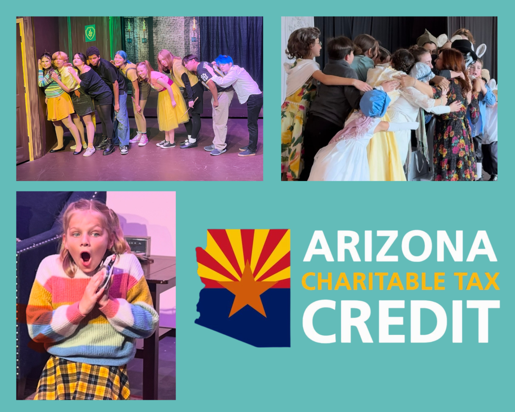 Charitable Tax Credit – Actors Playground Theater Company